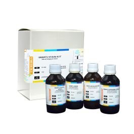Buy Gram'S Stain - Kit online price